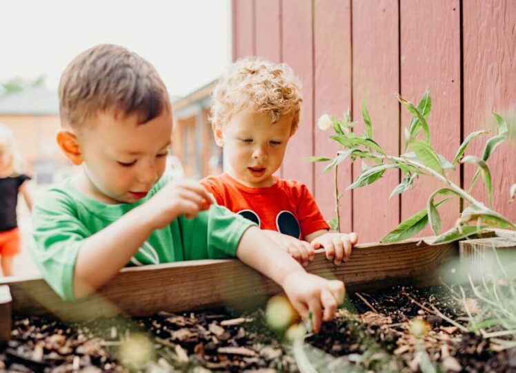 Home - Leafspring Schools